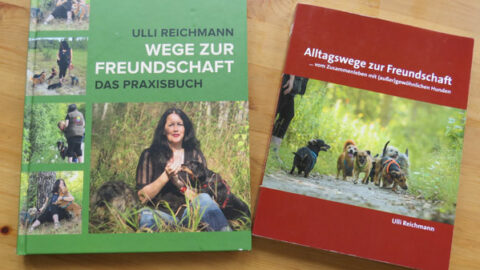 Buchtipp: Ulli Reichmann